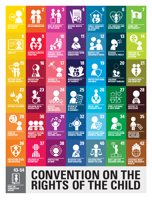 The United Nations Convention on the Rights of the Child: The Children ...