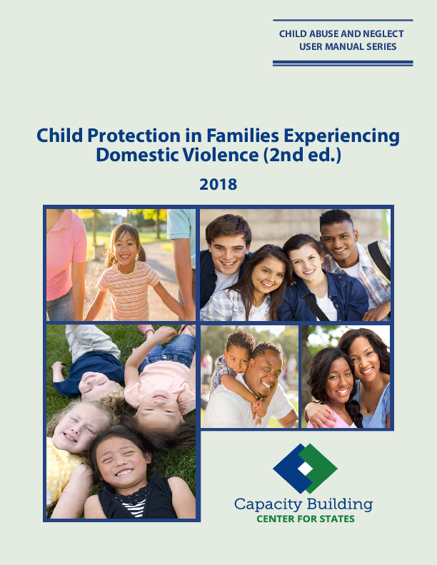 Child Protection in Families Experiencing Domestic Violence (2nd ed ...