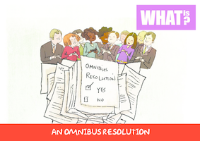 What is? An Omnibus Resolution | Save the Children’s Resource Centre