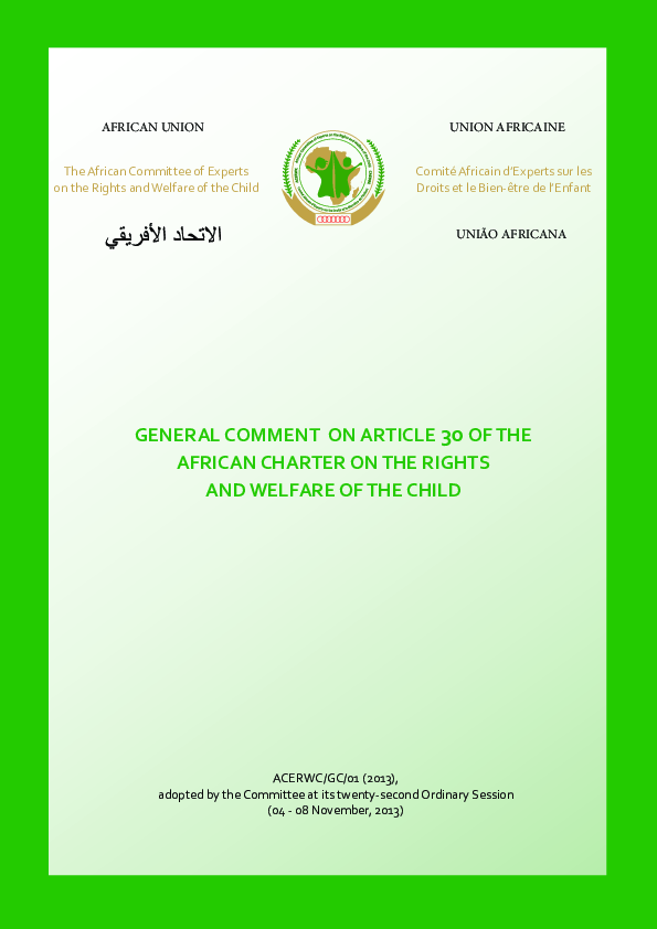 General Comment on Article 30 of the African Charter on the Rights and ...
