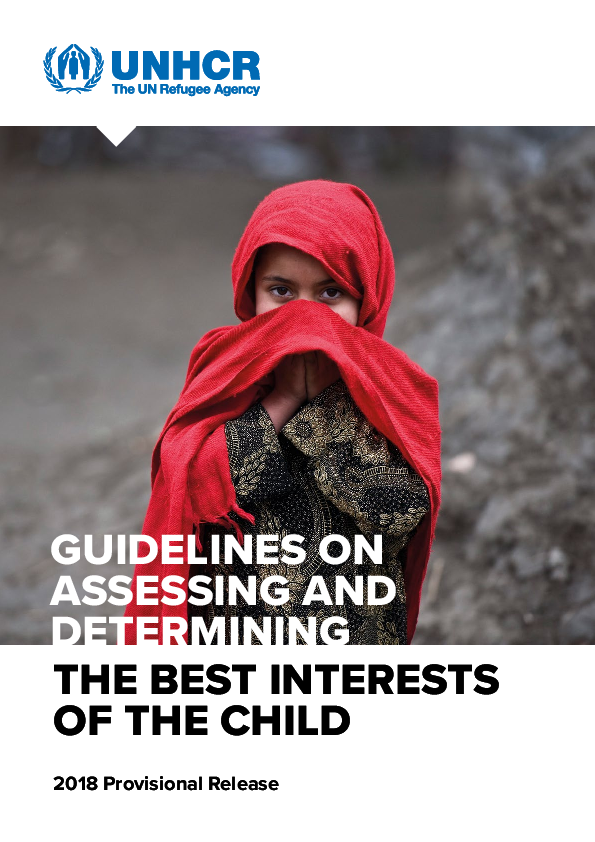 Guidelines on Assessing and Determining the Best Interests of the Child ...