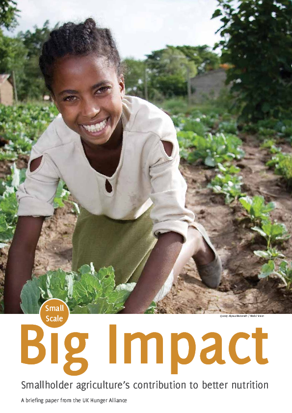 Small scale, big impact: Smallholder agriculture’s contribution to ...