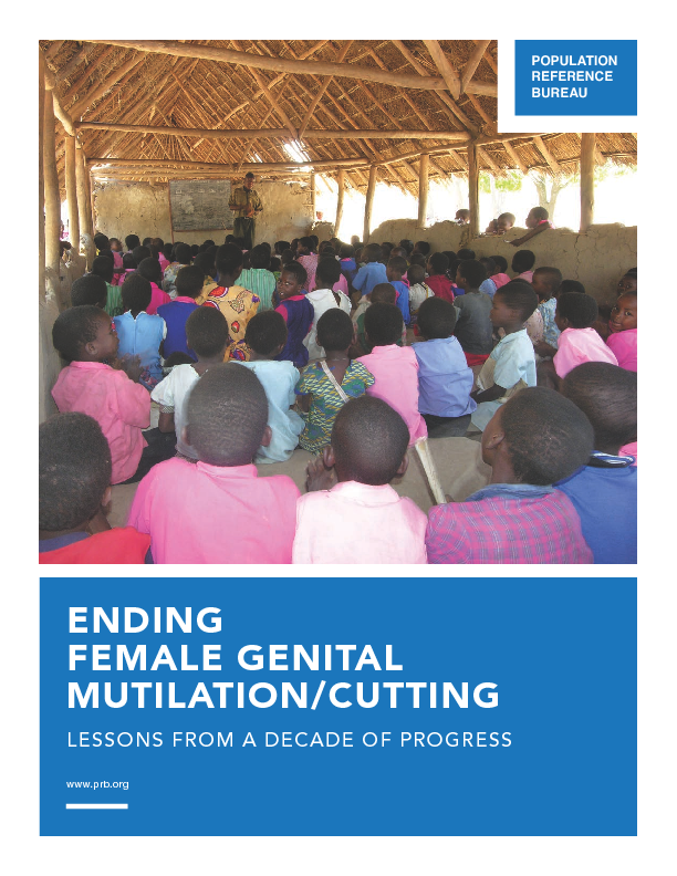 Ending Female Genital Mutilation/Cutting: Lessons from a decade of ...